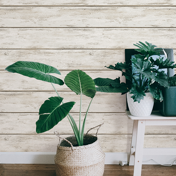 Peel and Stick Removable Wallpaper | WallPops®